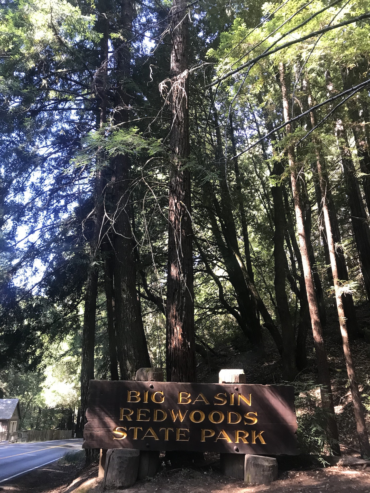 Big Basin Redwoods State Park, a California State Park located near ...