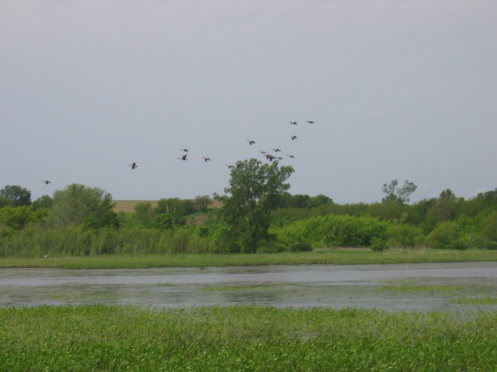 McCord Pond State Wildlife Management Area, an Iowa State Wildlife ...
